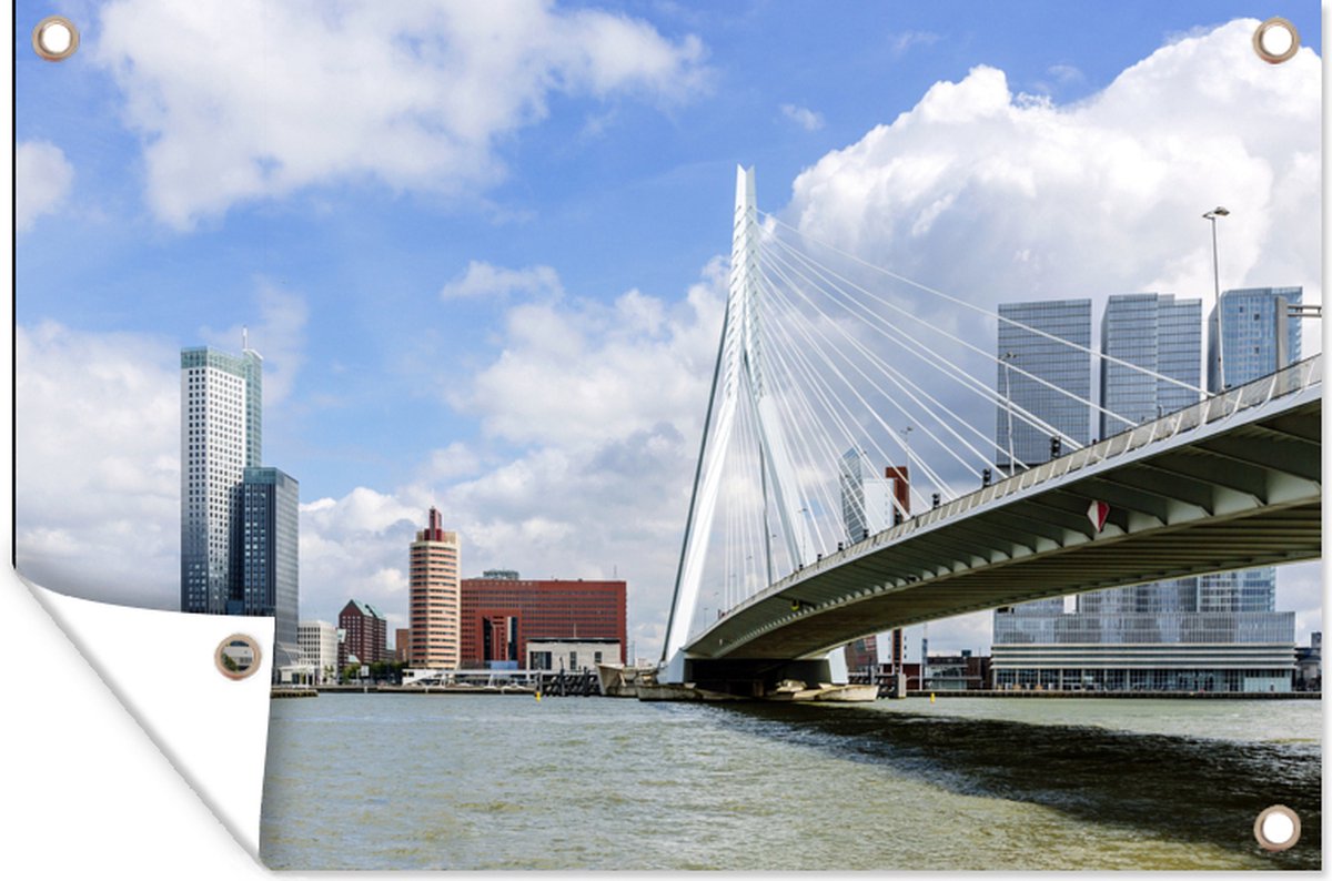Tuindecoratie De skyline van Rotterdam met moderne gebouwen en de ...