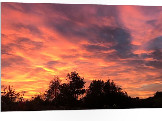 PVC Schuimplaat- Roze Gloed in Lucht boven Silhouet van Bomen - 105x70 ...