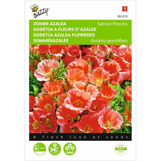 Zomerazalea Salmon Princess - Godetia grandiflora | bol