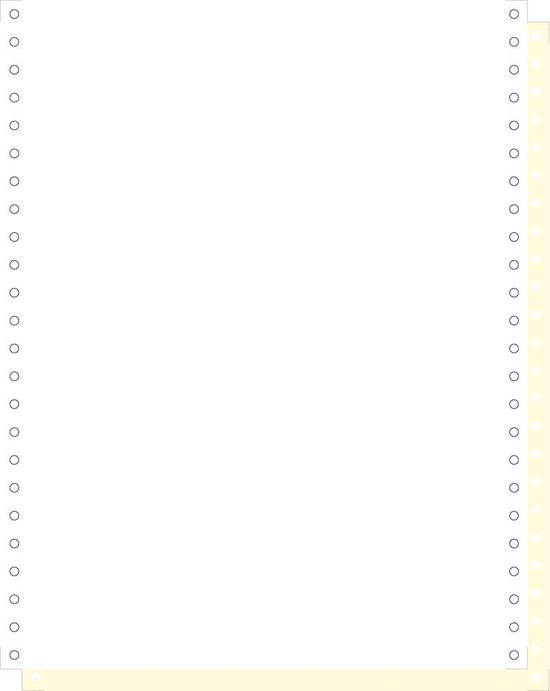 1000 feuilles de 2 copies de papier listing autocopiant 240x12 - 2 ...