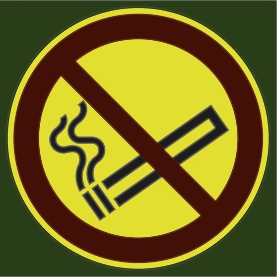 Lichtgevende niet roken sticker, 200 mm, P002 | bol