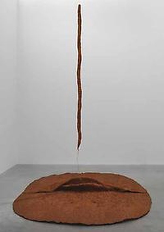Magdalena Abakanowicz, Ann, Mary-Jane Coxon, Jacob | 9781849766739 ...