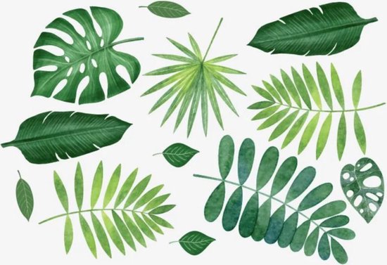 Muursticker blaadjes palm groen | bol