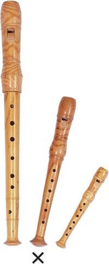 Goki Blokfluit - Speelgoedinstrument - Hout | bol