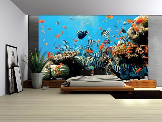 Sea Ocean Fish Corals Photo Wallcovering | bol.com