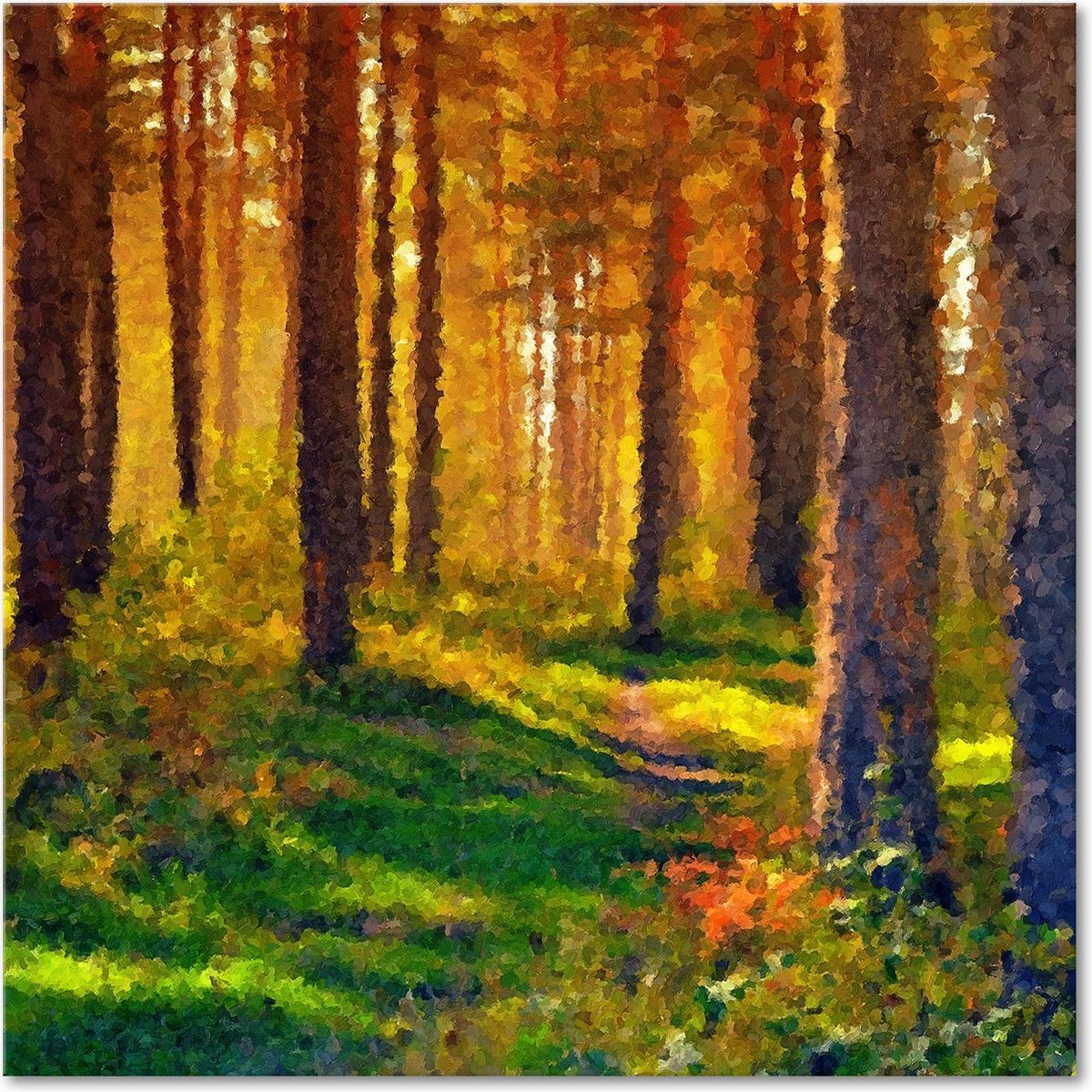 Graphic Message - Schilderij op Canvas - Bos - Lichtval - Bomen Landschap - Woonkamer | bol.com