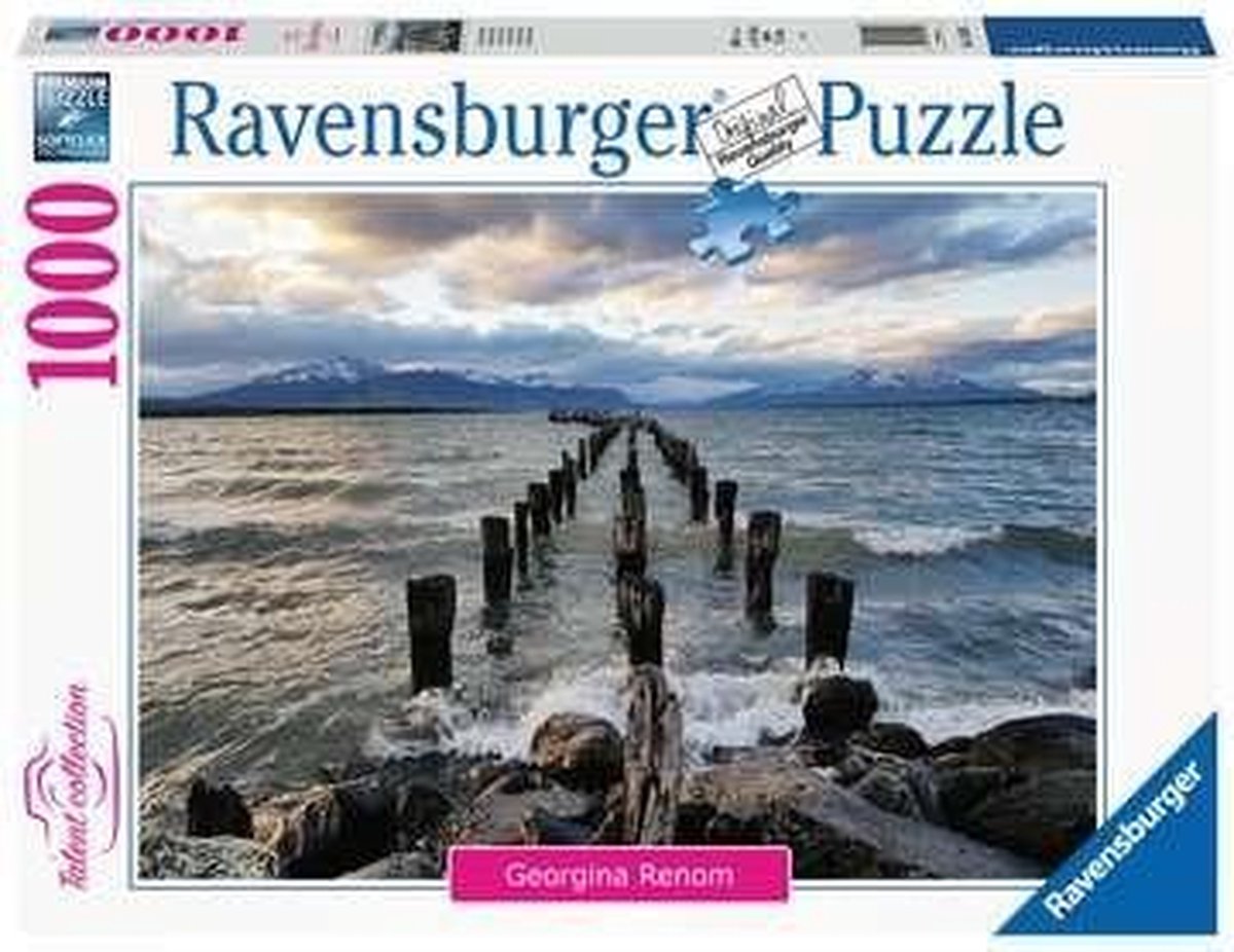 Ravensburger 16199 puzzel Legpuzzel 1000 stuk(s) Liggend | bol.com