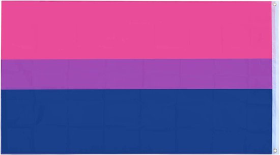 Groot Formaat Biseksuele Vlag voor Binnen en Buiten - Vier Diversiteit op Bi Pride en... | bol