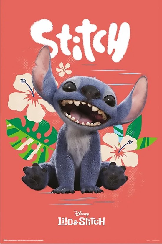 Stitch Poster – Lilo & Stitch – Groot Formaat 91,5 x 60 cm – Disney ...