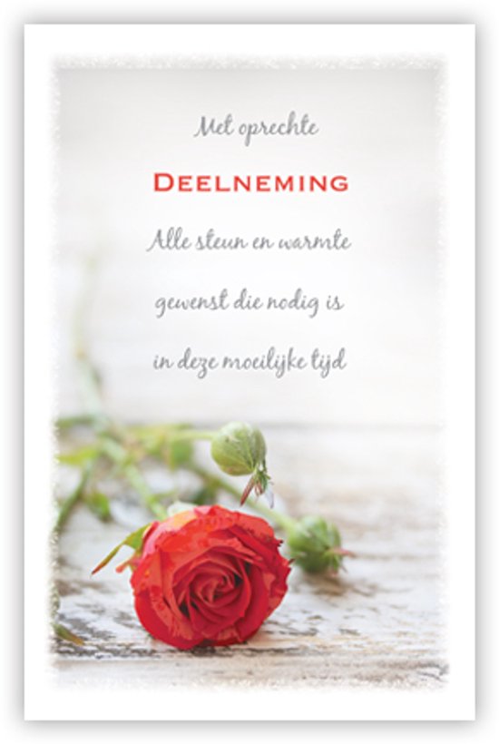 Condoleance kaart "Liggende rode roos" | bol