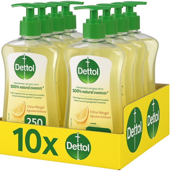 Dettol Handzeep Citrus - 10st x 250ml - Voordeelverpakking | bol