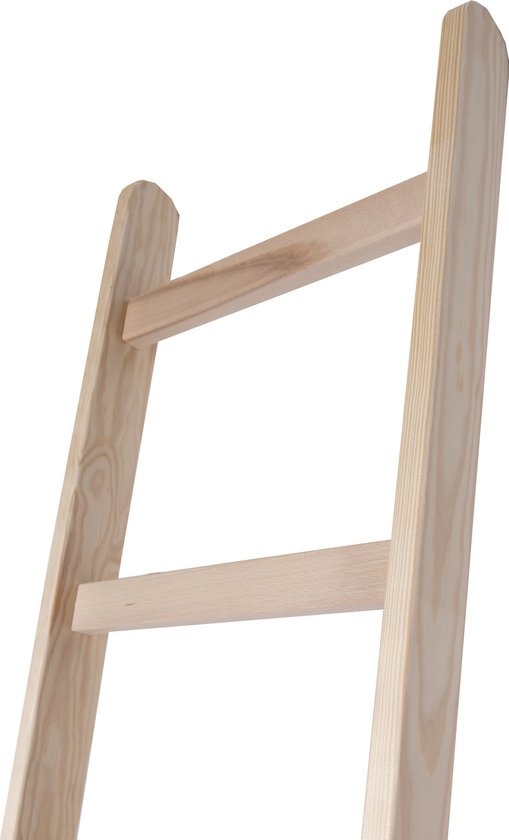 Enkele ladder hout - 10 treden/sporten - Stahoogte 287 cm - Houten ...
