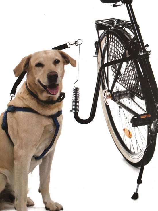 Laroy Duvo Sprinter Fietshouder - Voor hond - Zwart - 47x42cm - 120cm | bol