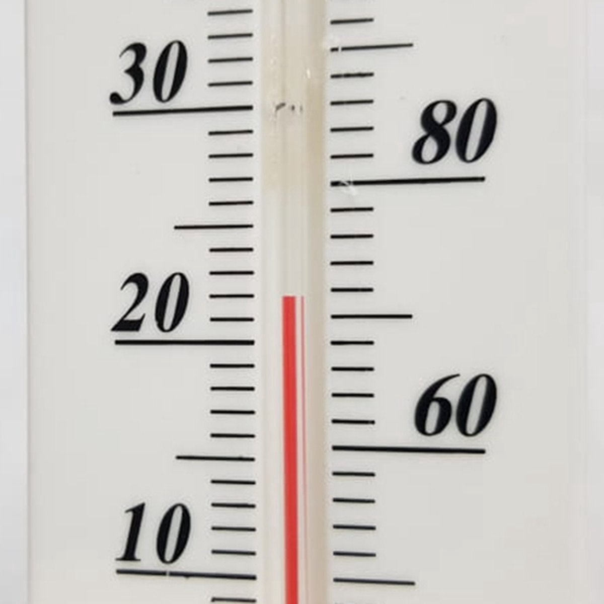 Ferrarium Buitenthermometer 20 cm hoog en 4 cm breed - -50 t/m +50 ...