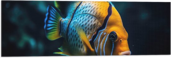 Vlag - Blauw- Gele Vis Zwemmend door de Donkere Zee - 90x30 cm Foto op ...