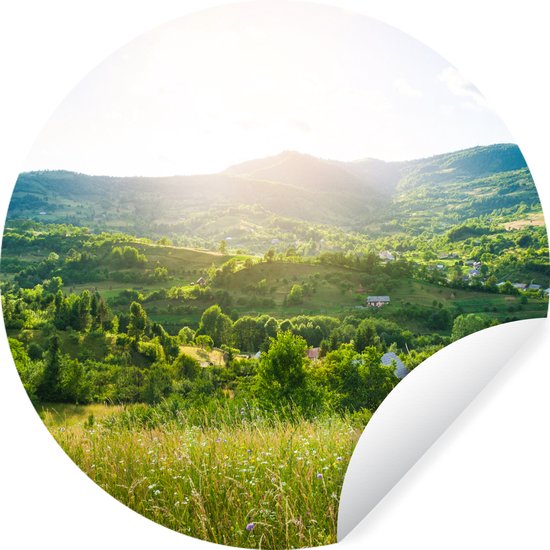 Behangcirkel - Landschap - Gras - Natuur - Bomen - Wanddecoratie rond ...