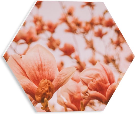 PVC Schuimplaat Hexagon - Bloemen - Takken - Bomen - Planten - Natuur ...