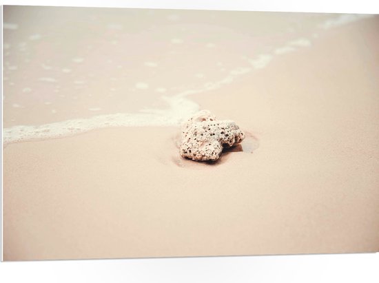 PVC Schuimplaat - Zee - Strand - Zand - Steen - 105x70 cm Foto op PVC ...