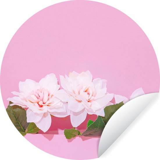 WallCircle - Muurstickers - Behangcirkel - Bloesem - Zomer - Roze - 100x100 cm -... | bol