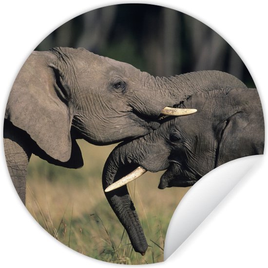 WallCircle - Muurstickers - Behangcirkel - Olifant - Dieren - Grijs - Natuur - 100x100... | bol