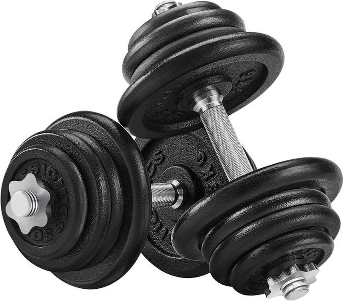 Rootz Haltères – Haltères hexagonaux – Dumbbell Hex – Disques en fonte ...