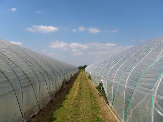 KWEEK - Complete wandelkap 500 cm breed en 1000 cm lang | bol