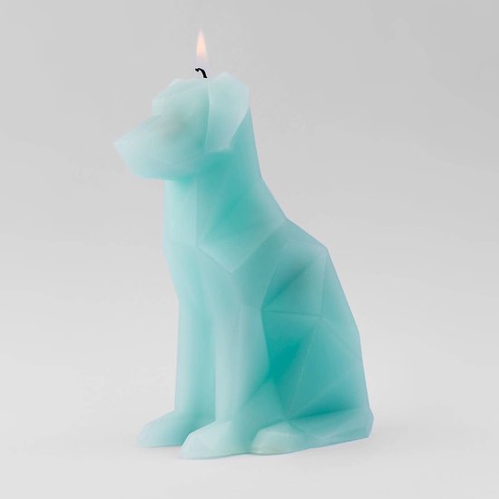 PyroPet - Voffi Aqua/Mint - Hond met skelet - Kaars | bol