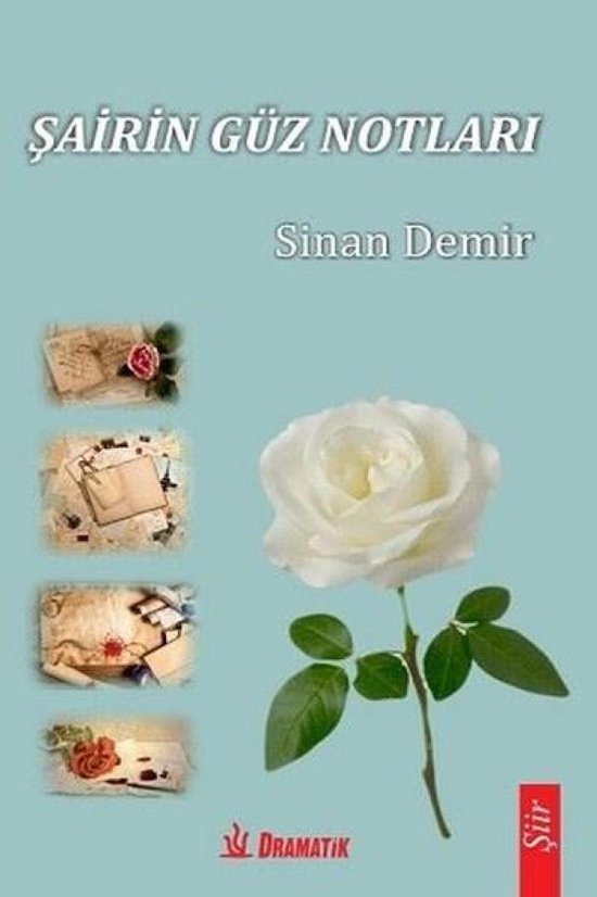 Şairin Güz Notları, Sinan Demir | 9786057440426 | Boeken | bol.com