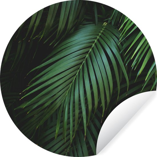 WallCircle - Muurstickers - Behangcirkel - Palmbladeren - Palmen - Tropical - 100x100... | bol