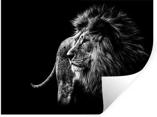 Muurstickers - Sticker Folie - Dieren - Wild - Leeuw - Zwart - Wit - 40x30 cm -... | bol