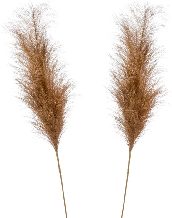Emerald Pampasgras pluim losse steel/tak - 2x - bruin - 105 cm ...