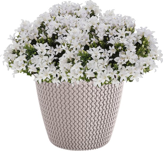 Prosperplast Plantenpot/bloempot Splofy - taupe - kunststof - D16 x H13 ...