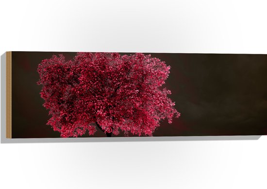 Hout - Boom - Landschap - Roze - Bladeren - 90x30 cm - 9 mm dik - Foto ...