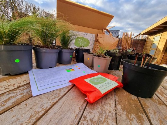 Borderbox Go Wild - 9 Vaste Planten - Compleet Borderpakket voor 1m² ...