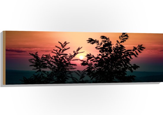 Hout - Bomen - Zon - Zonsondergang - Kleuren - 120x40 cm - 9 mm dik ...