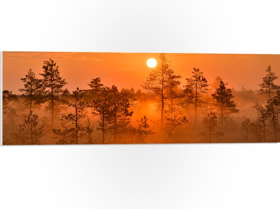 PVC Schuimplaat- Zonsopkomst bij Bos met Bomen Vol met Mist - 90x30 cm ...