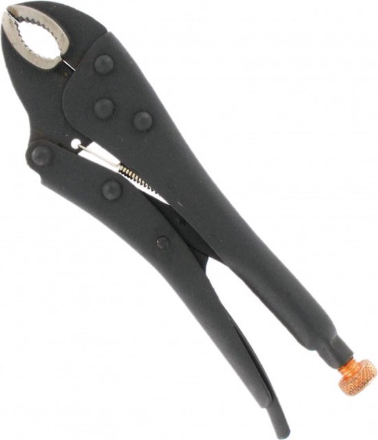 WORK PLUS Griptang profi 250 mm | bol