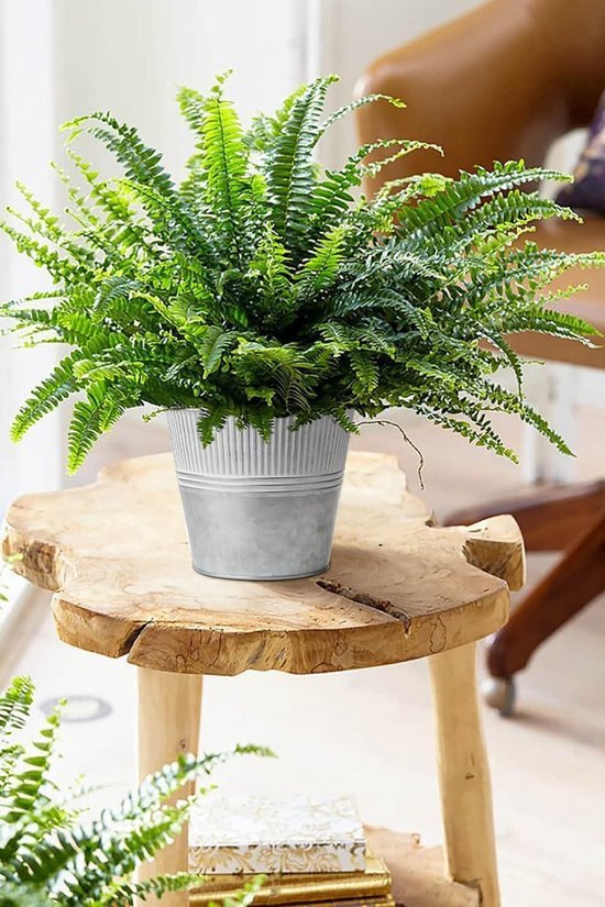 Set van 6 verzinkt stalen bloempotten - moderne decoratie en ...