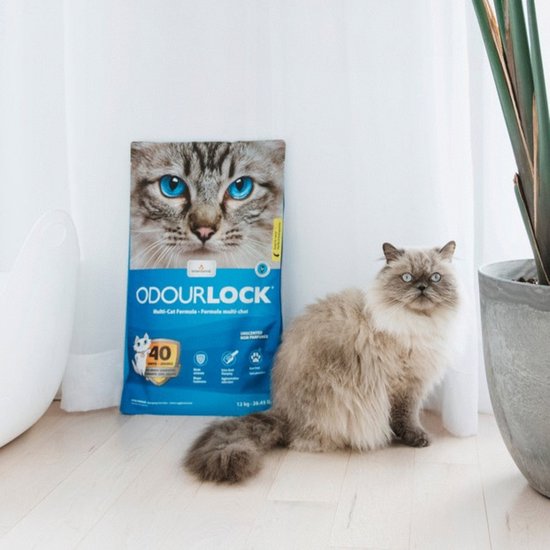 Odourlock Unscented - Kattenbakvulling - 12 kg | bol