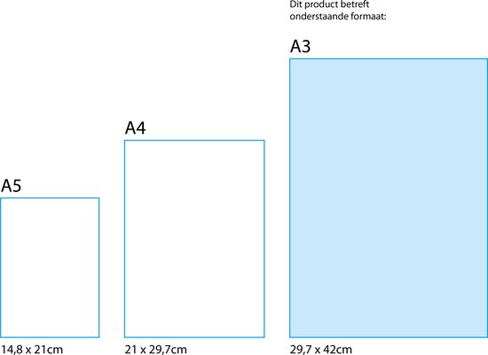 Isometrisch papier A3 - 3 blokken van 50 vel - Voor technische ...
