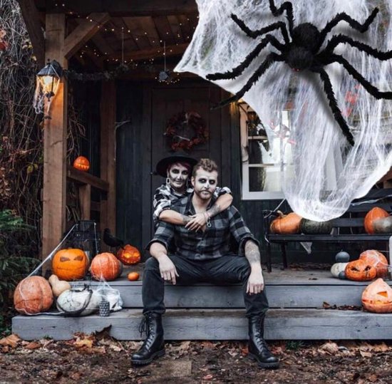 F I K A.® - Gigantische Halloween Spin - 75 cm Zwarte Spin met Rode ...