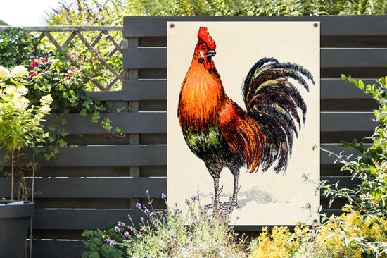 Affiche de jardin - Toile de jardin - Affiches de jardin extérieur ...