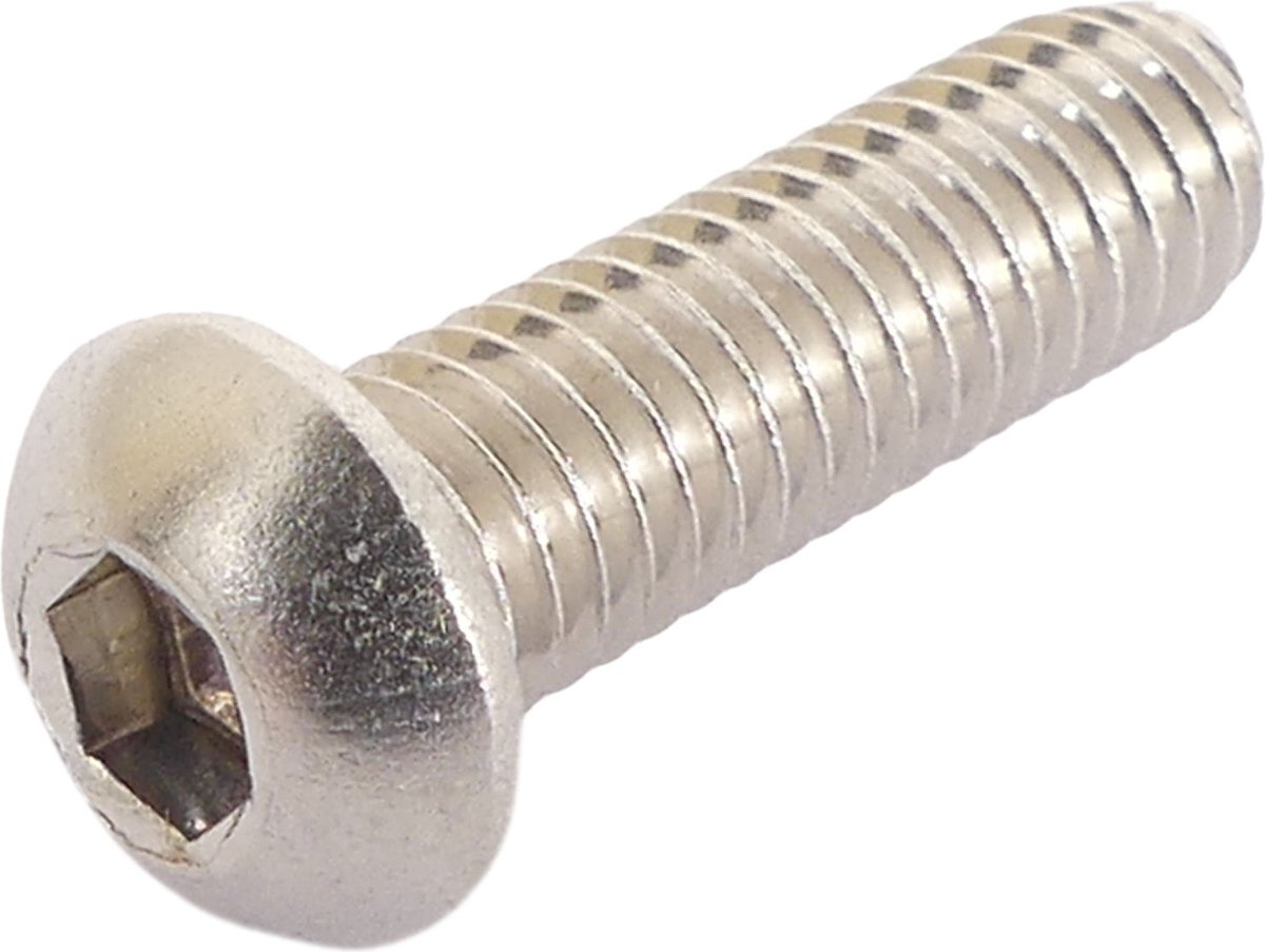 Bofix Remschijfbout M6 x 20MM inbus bolkop RVS | bol.com