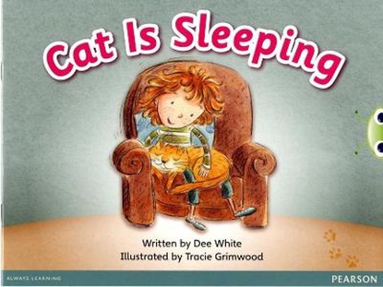 Bug Club Pink A Cat is Sleeping | 9780435167424 | Dee White | Boeken ...