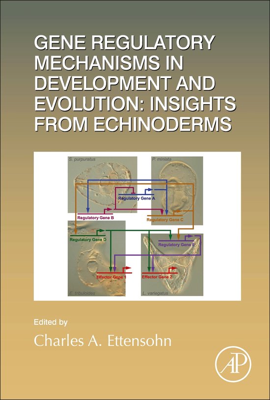 Gene Regulatory Mechanisms in Development and Evolution: Insights from ...