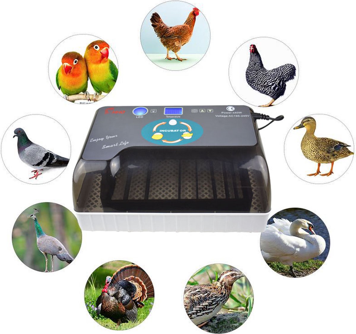 Broedmachine 12 eieren met ingebouwde schouwlamp, dagteller en timer ...