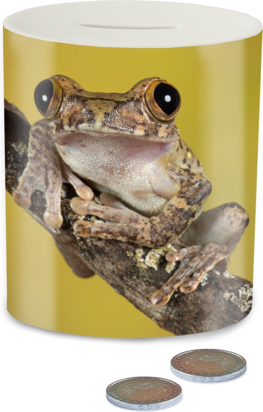 Spaarpot - Spaarblik - Kikker - Tak - Geel - Spaarpotten - Volwassenen ...