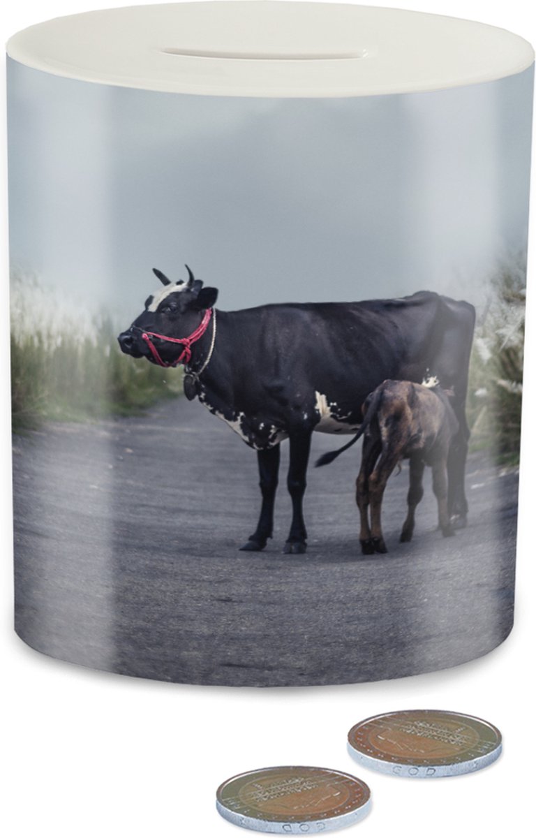 Spaarpot - Spaarblik - Koe met kalf - Spaarpotten - Volwassenen - Kind ...