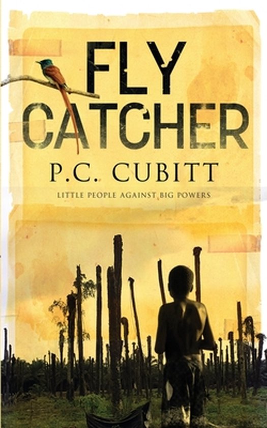 Fly Catcher, P C Cubitt | 9781739889715 | Boeken | bol.com