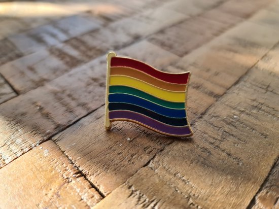 Pin / badge / button /broche in de vorm van de LGBT-regenboogvlag ...